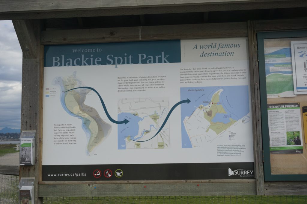 RV Park Reviews - Arrived at Pacific Border Crossing - Roaming RV