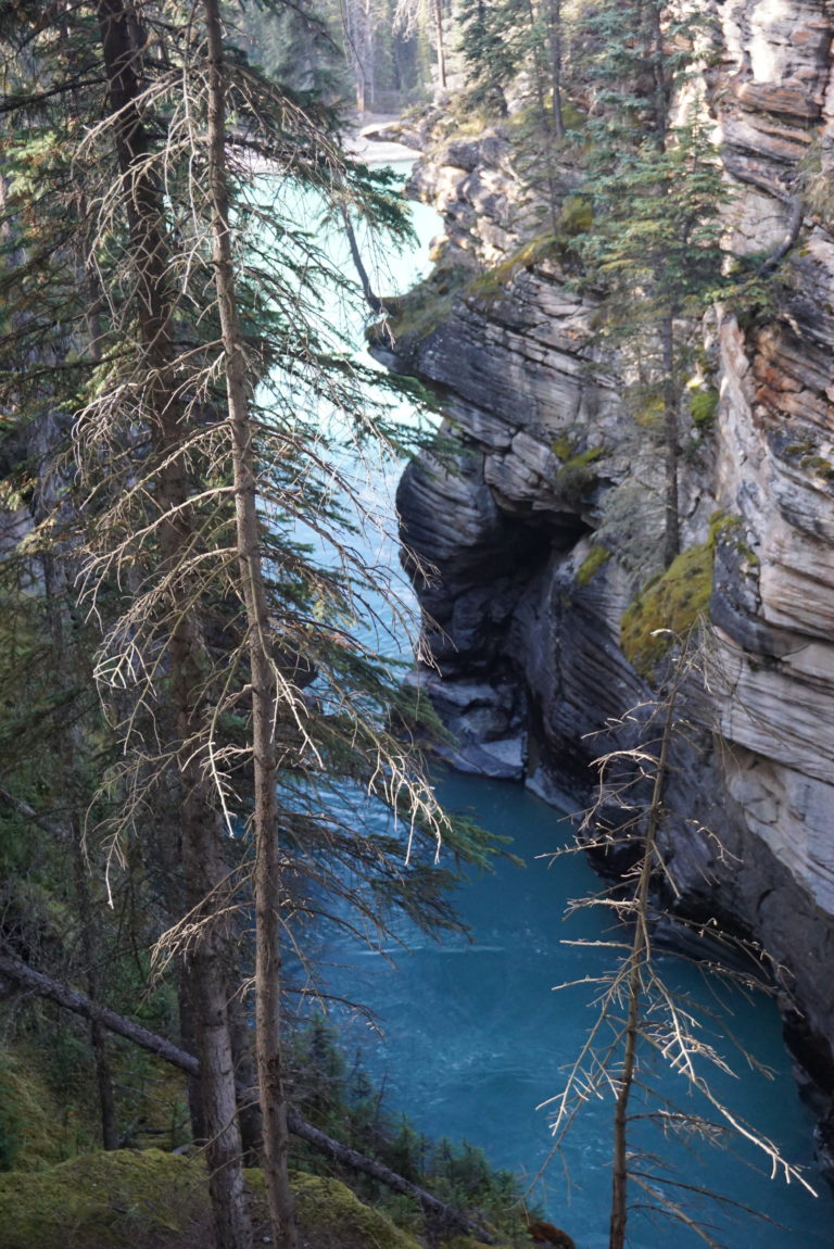 Planning a trip to Alaska - Roaming RV